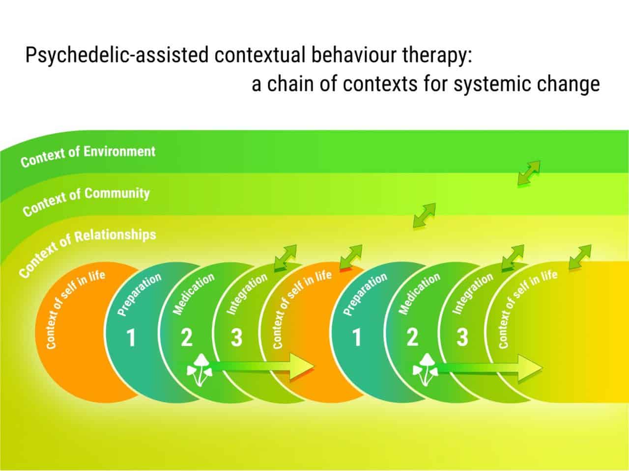 Expanded ACT for Psychedelic-assisted Therapy: Integrating trauma ...